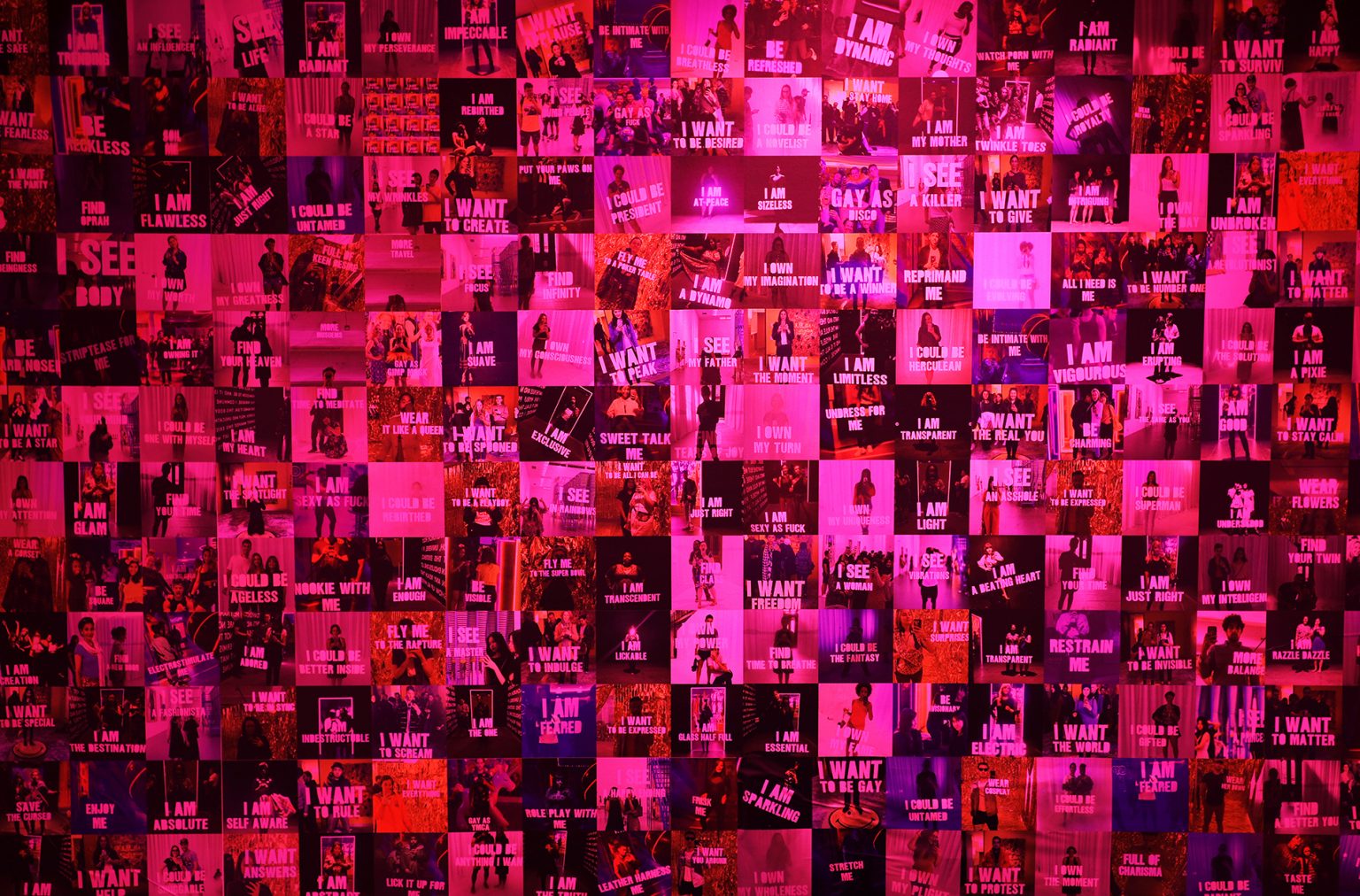 Exhibitions – Jonathan Rosen