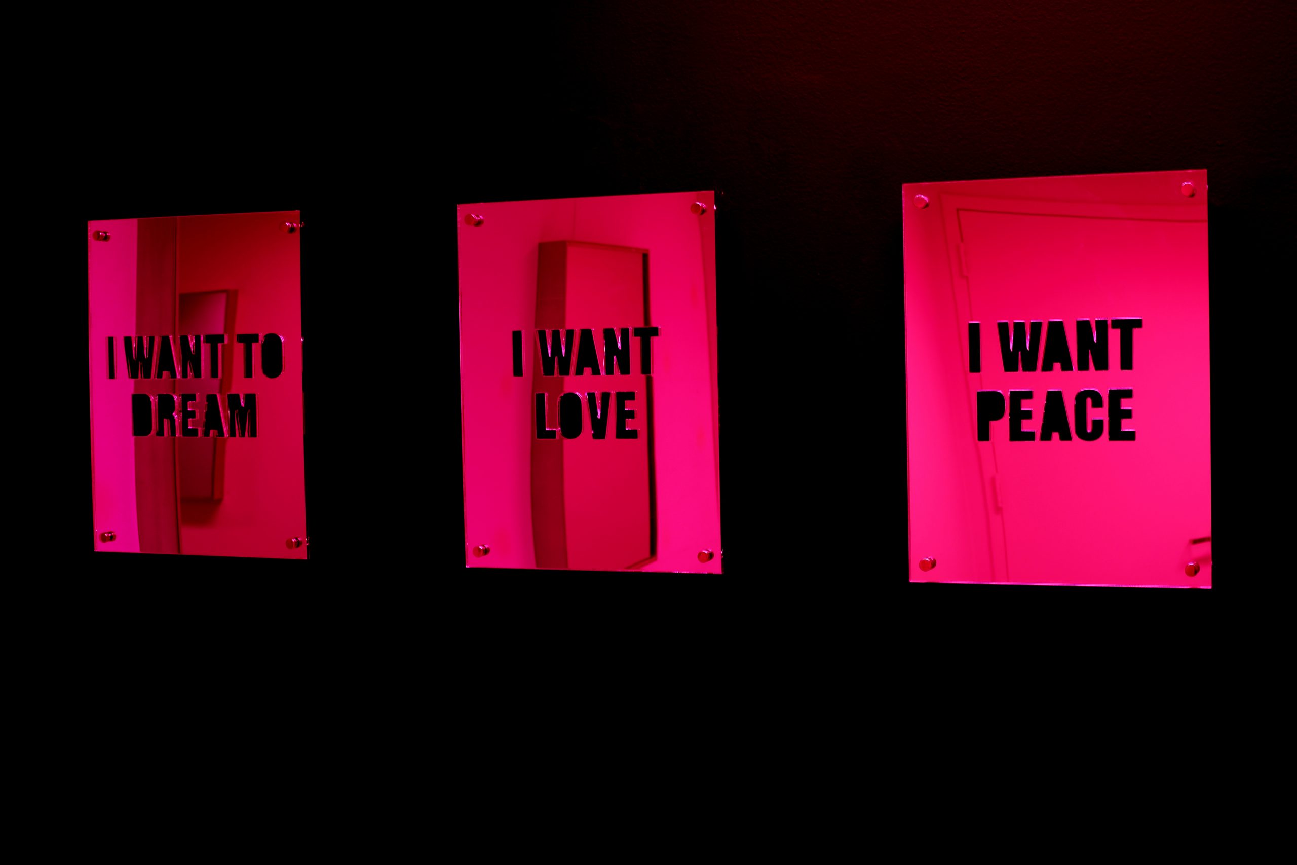 CUTOUTS - Jonathan Rosen